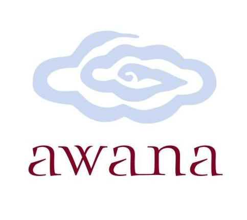 Blue Web Logo